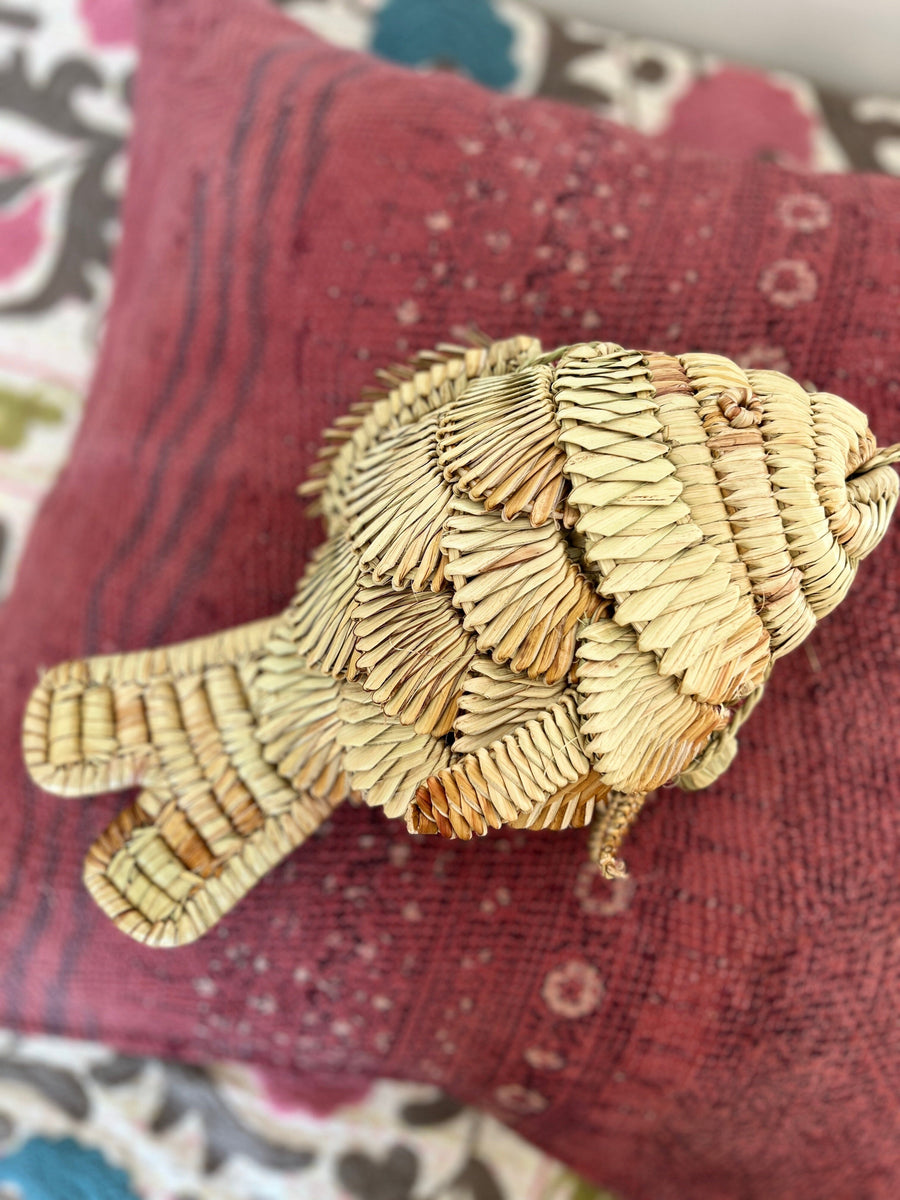 Drôle de poisson – lespetitsbohemes